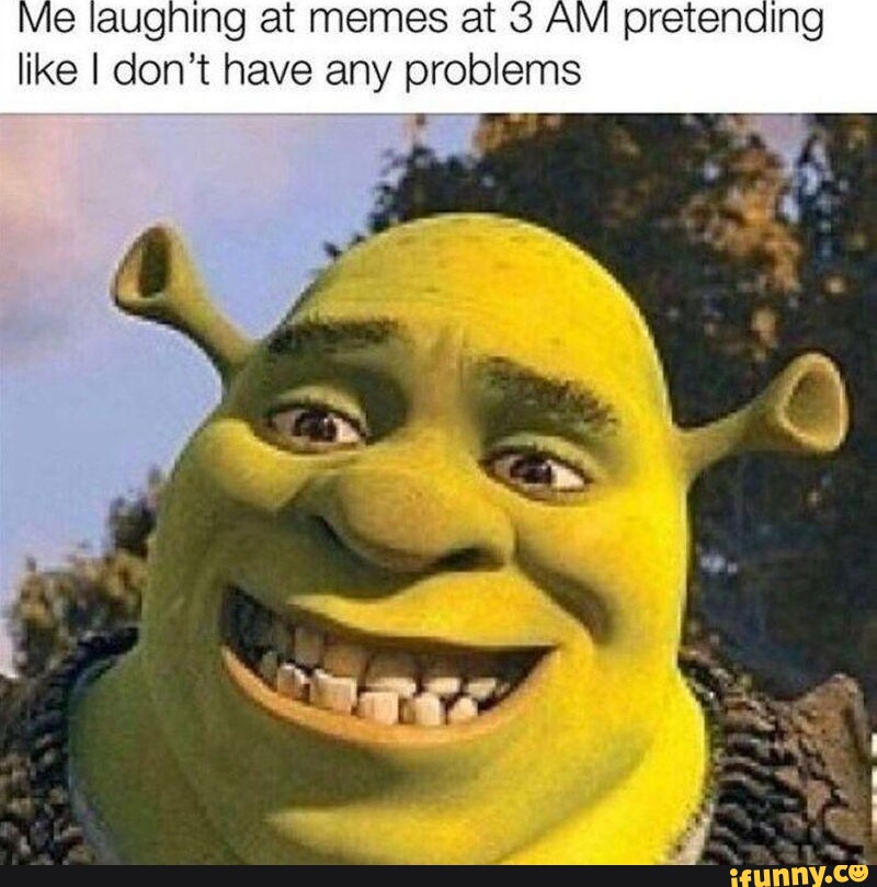 Me laughing at memes at 3 AM pretending like I don't have any problems ...