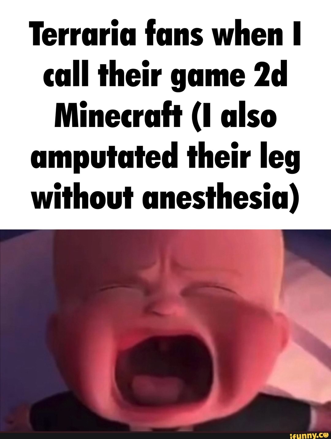 Terraria fans when call their game Minecraft (I also amputated their ...