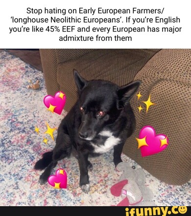 Longhouse memes. Best Collection of funny Longhouse pictures on iFunny