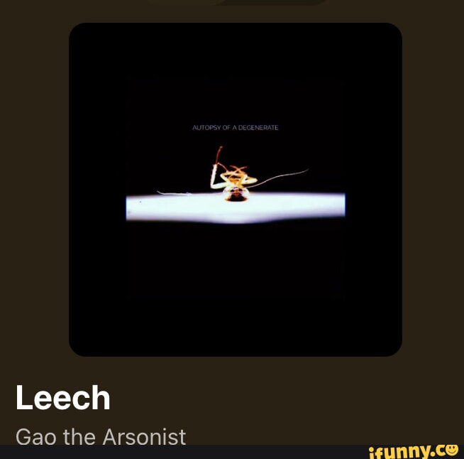 Gao memes. Best Collection of funny Gao pictures on iFunny