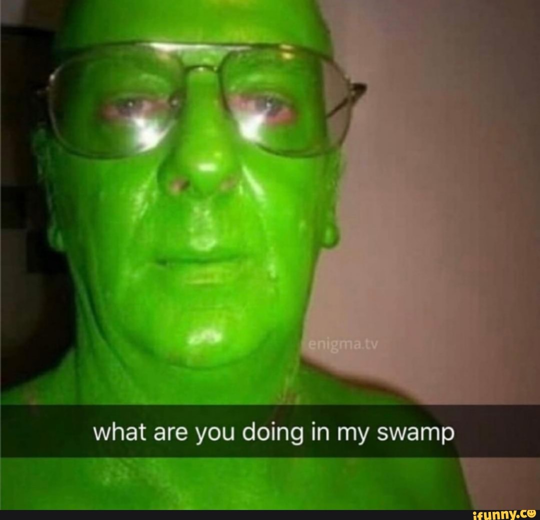 What are you doing in my swamp - iFunny