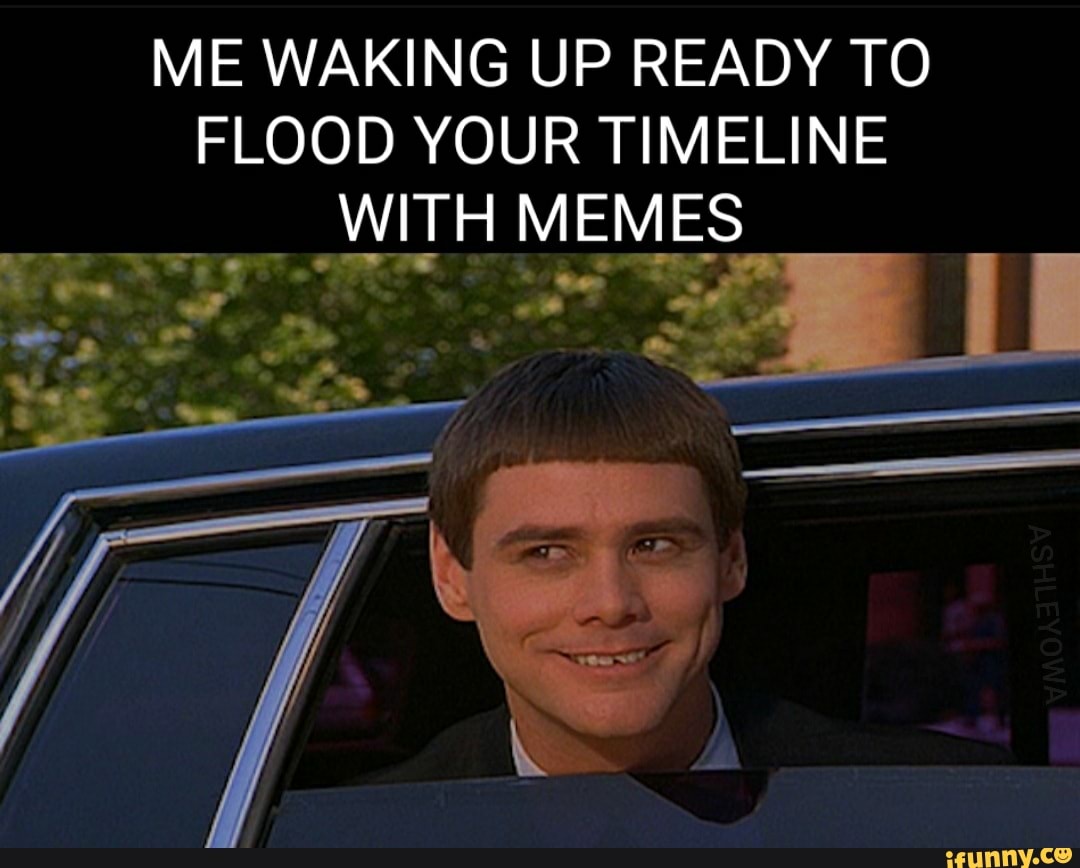 Flood Timeline Memes