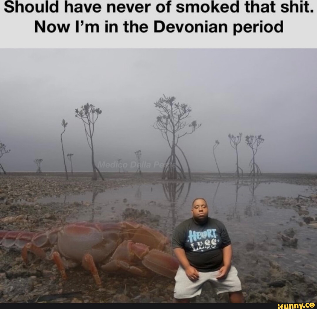 Canna memes. Best Collection of funny Canna pictures on iFunny