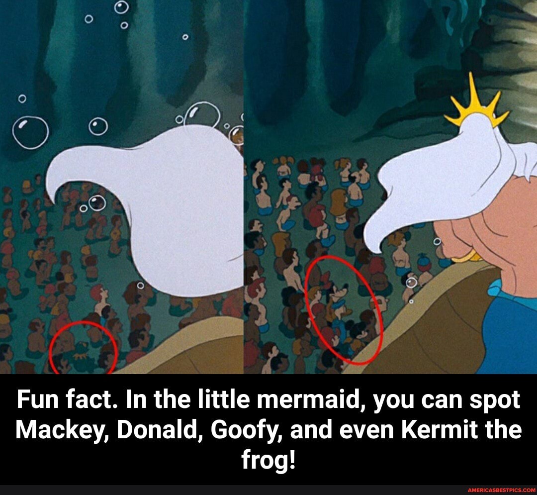 Fun fact. In the little mermaid, you can spot Mackey, Donald, Goofy ...