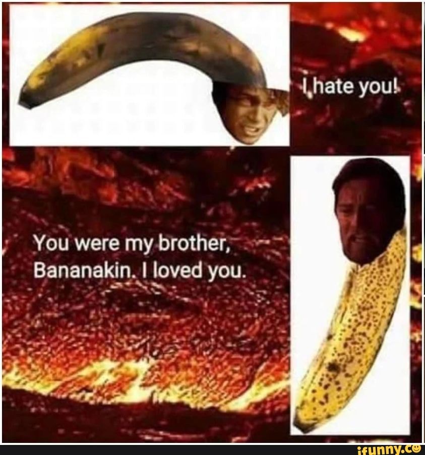 You} You were my brother, Bananakin. I loved you. - iFunny