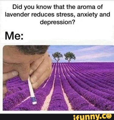 Did you know that the aroma of lavender reduces stress, anxiety and ...