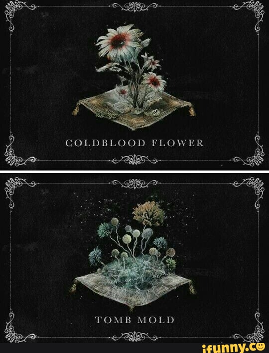 Mold memes. Best Collection of funny Mold pictures on iFunny