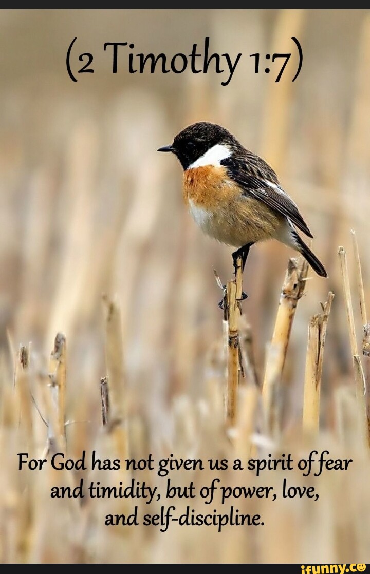 (2 Timothy For God has not given us a spirit of fear and timidity, but ...