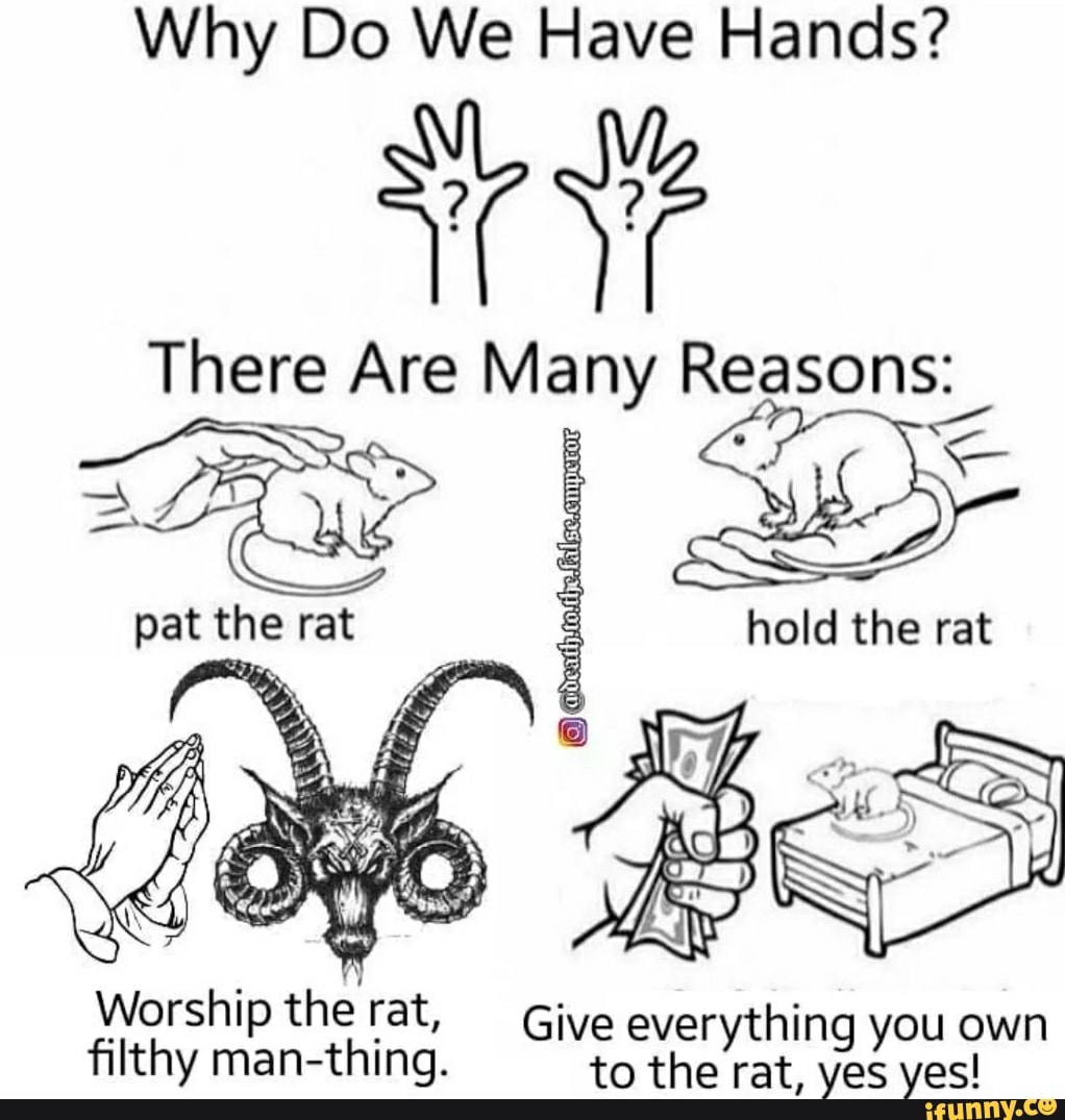 Rat memes. Best Collection of funny Rat pictures on iFunny