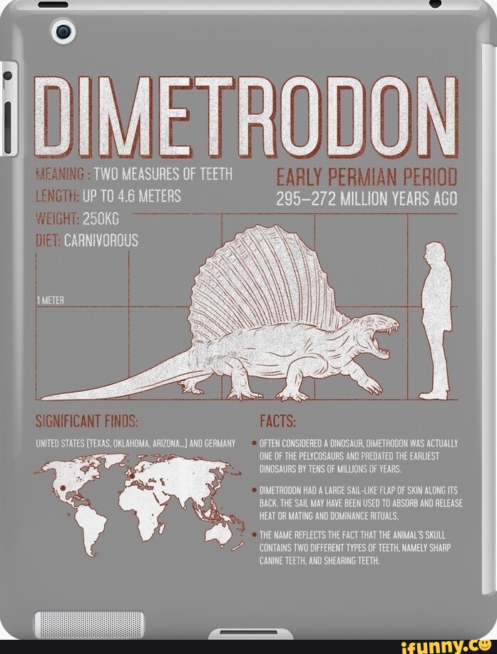 Dimetrodon memes. Best Collection of funny Dimetrodon pictures on iFunny