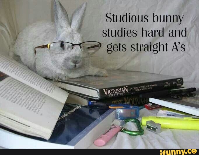Studious memes. Best Collection of funny Studious pictures on iFunny