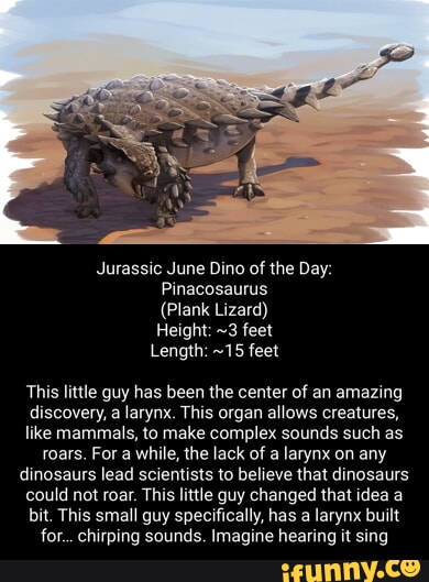 Jurassic June Dino of the Day: Pinacosaurus (Plank Lizard) Height: ~3 ...
