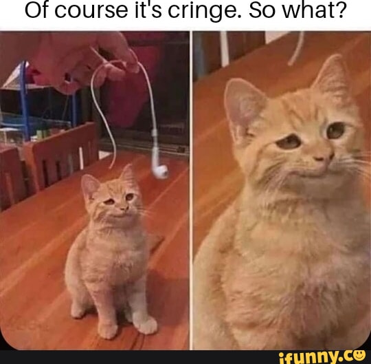 Of course it's cringe. So what? - iFunny