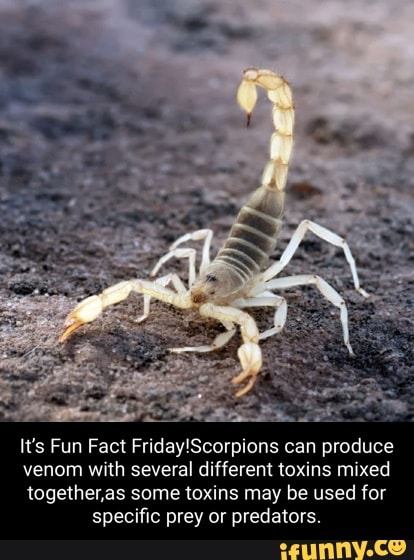 It's Fun Fact can produce venom with several different toxins mixed ...