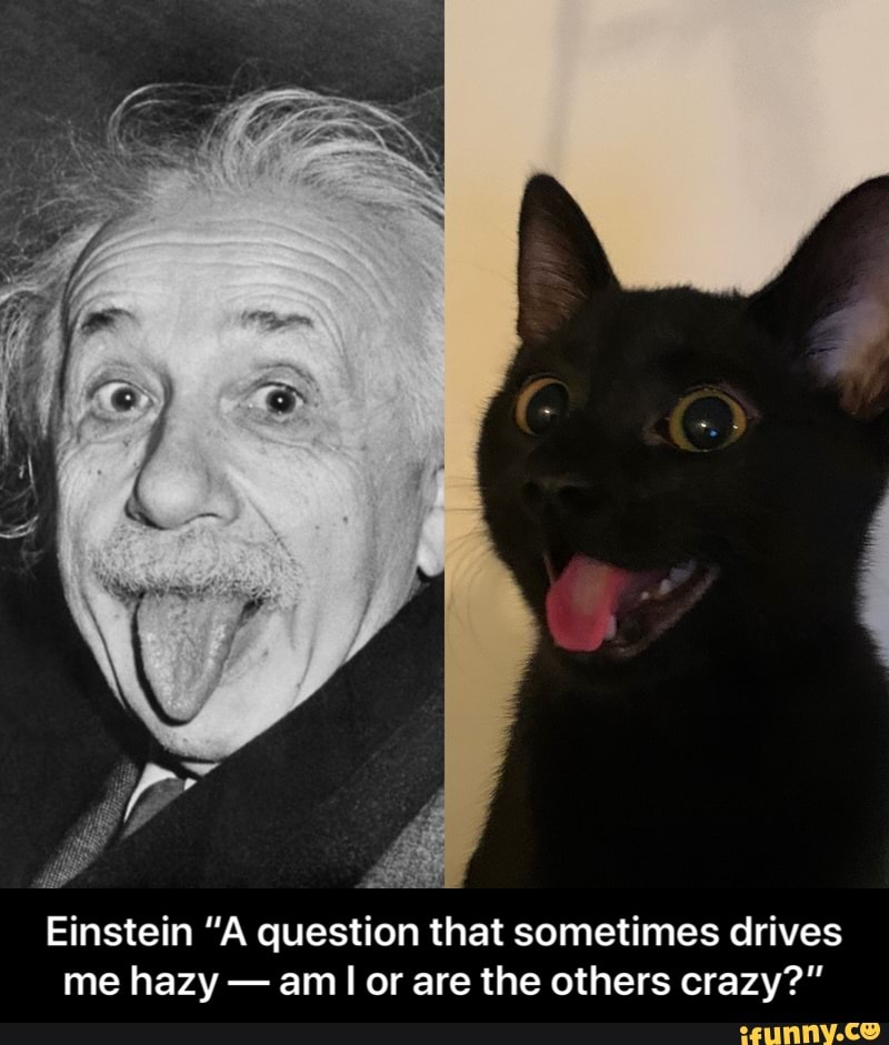 Einstein "A question that sometimes drives me hazy - am I or are the ...