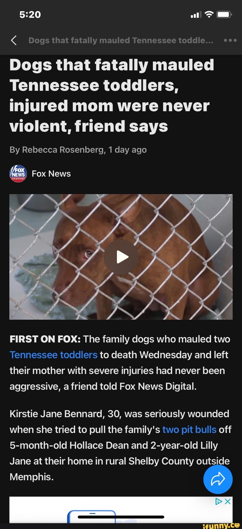 Dogs that fatally mauled Tennessee Dogs that fatally mauled Tennessee ...