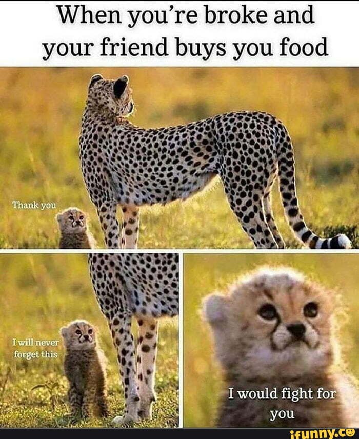 U know That feeling - When you're broke and your friend buys you food ...