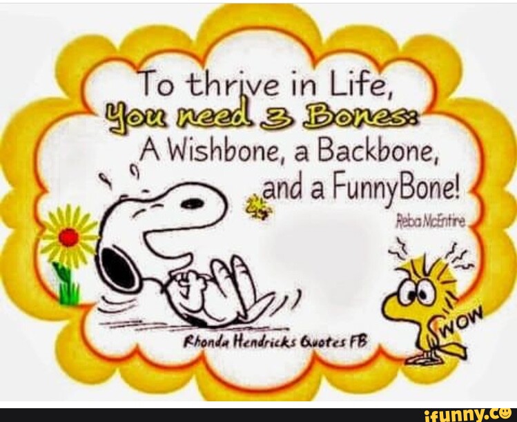 Backbone memes. Best Collection of funny Backbone pictures on iFunny