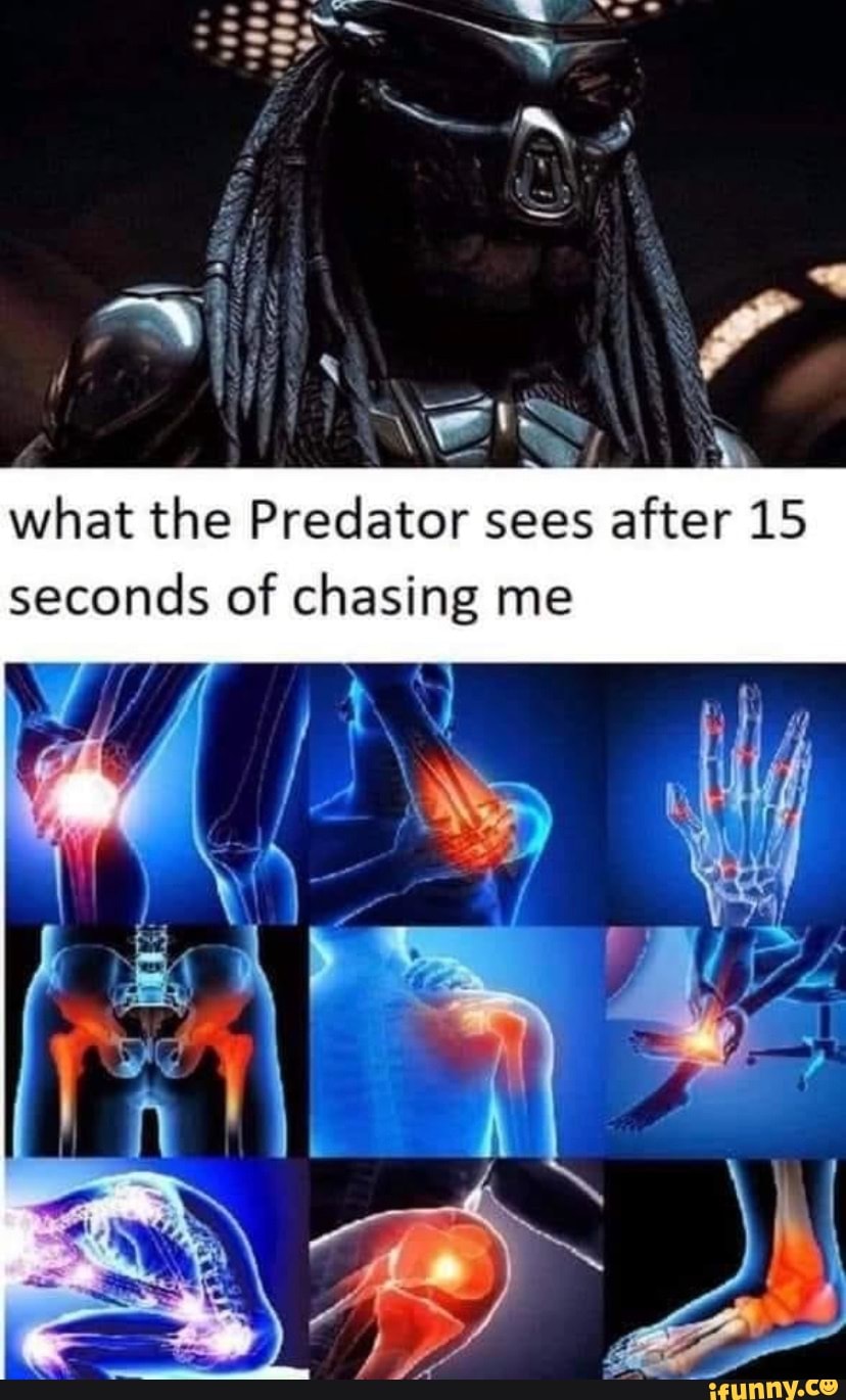 If ' what the Predator sees after 15 seconds of chasing me - iFunny