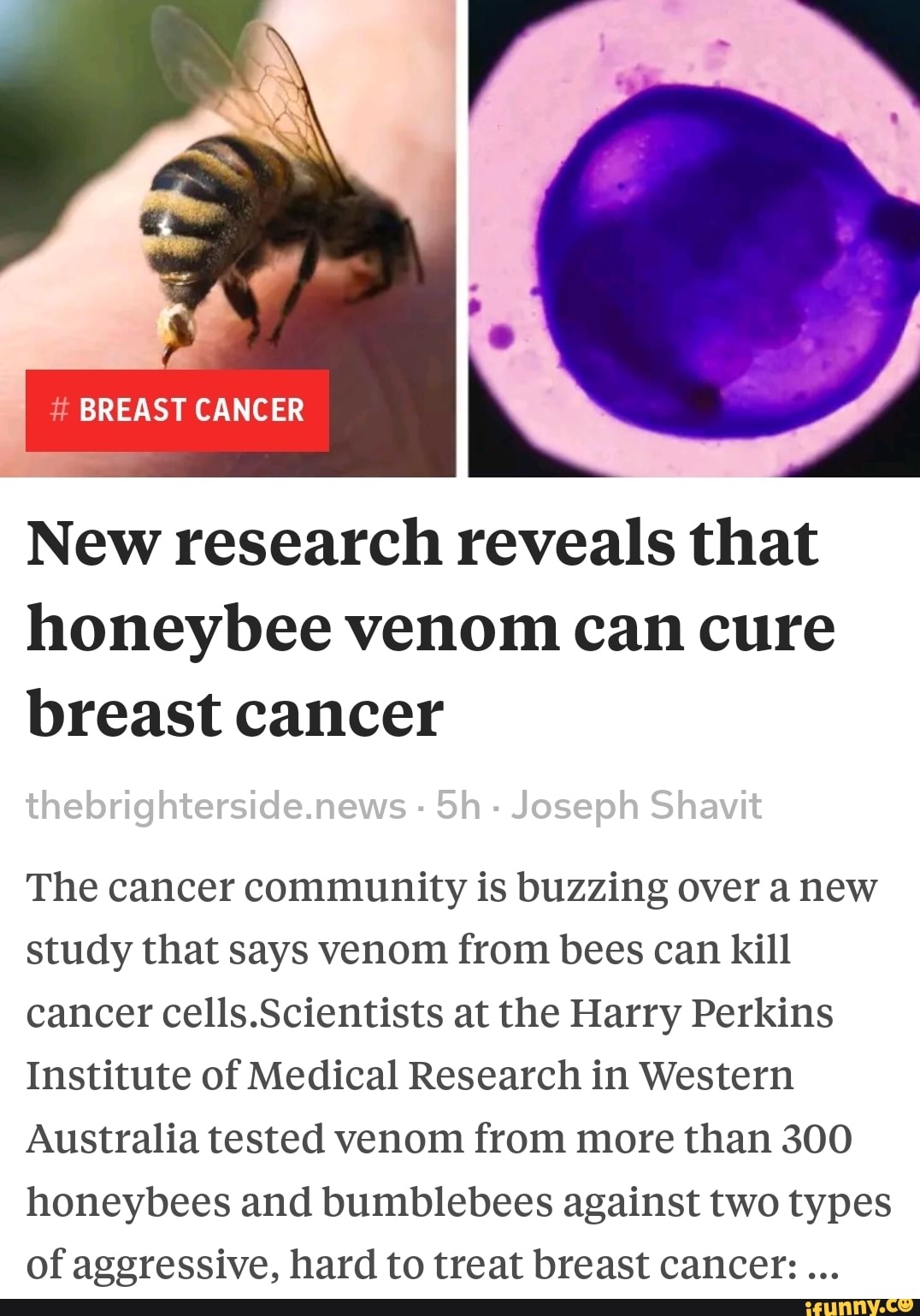 # BREAST CANCER New research reveals that honeybee venom can cure ...