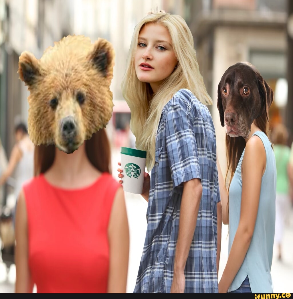 Starbies memes. Best Collection of funny Starbies pictures on iFunny
