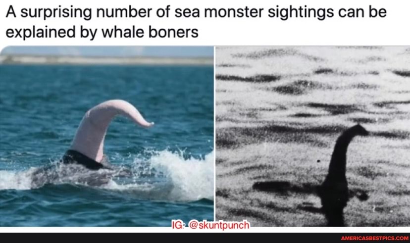 A surprising number of sea monster sightings can be explained by whale ...