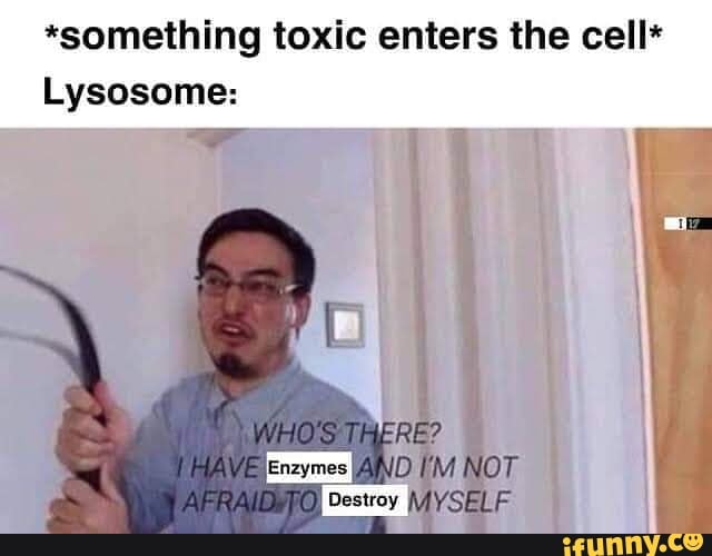 Lysosomes memes. Best Collection of funny Lysosomes pictures on iFunny
