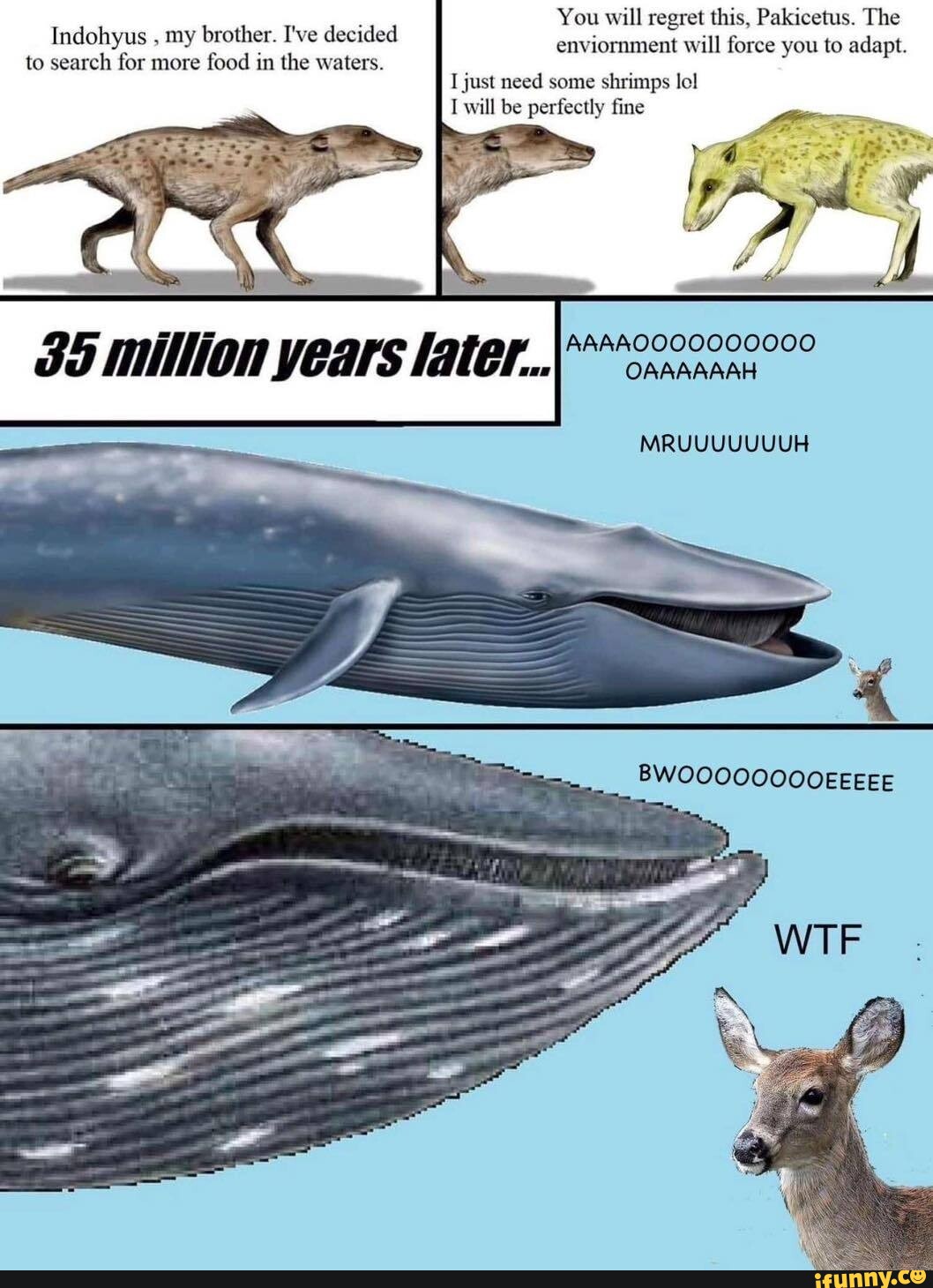 You will regret this, Pakicetus. The enviornment will force you to ...