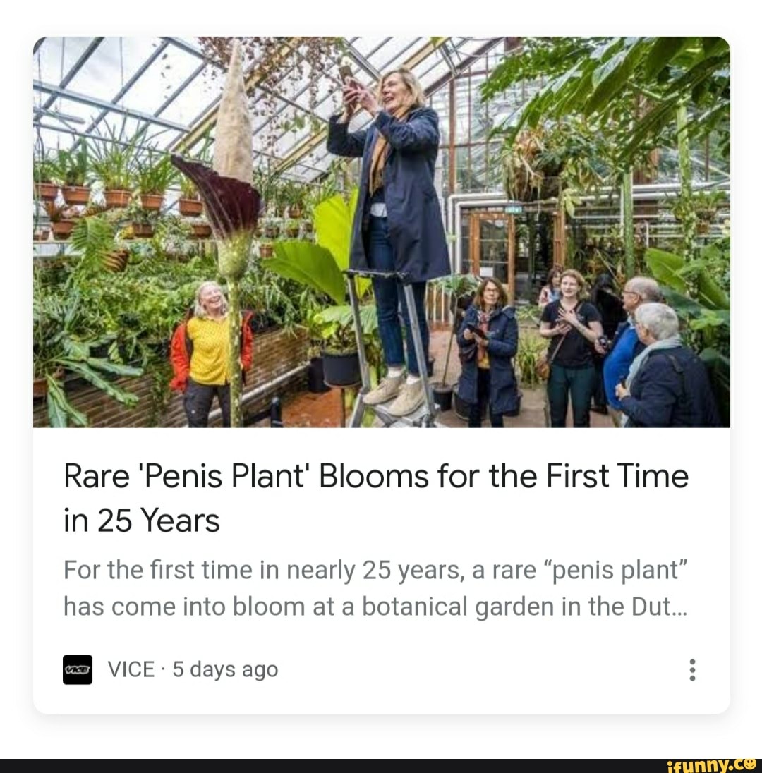 Rare 'Penis Plant' Blooms for the First Time in 25 Years For the first ...