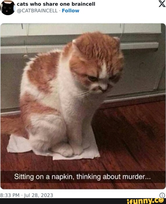 Ncell memes. Best Collection of funny Ncell pictures on iFunny