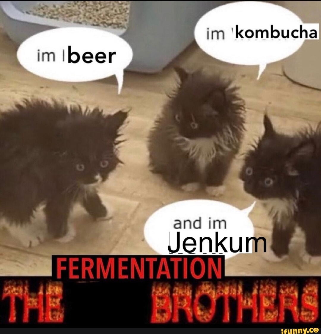 Kombucha memes. Best Collection of funny Kombucha pictures on iFunny