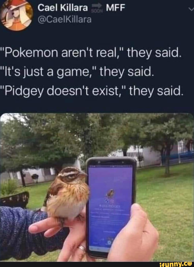 "Pokemon aren't real," they said. "It's just a game," they said ...