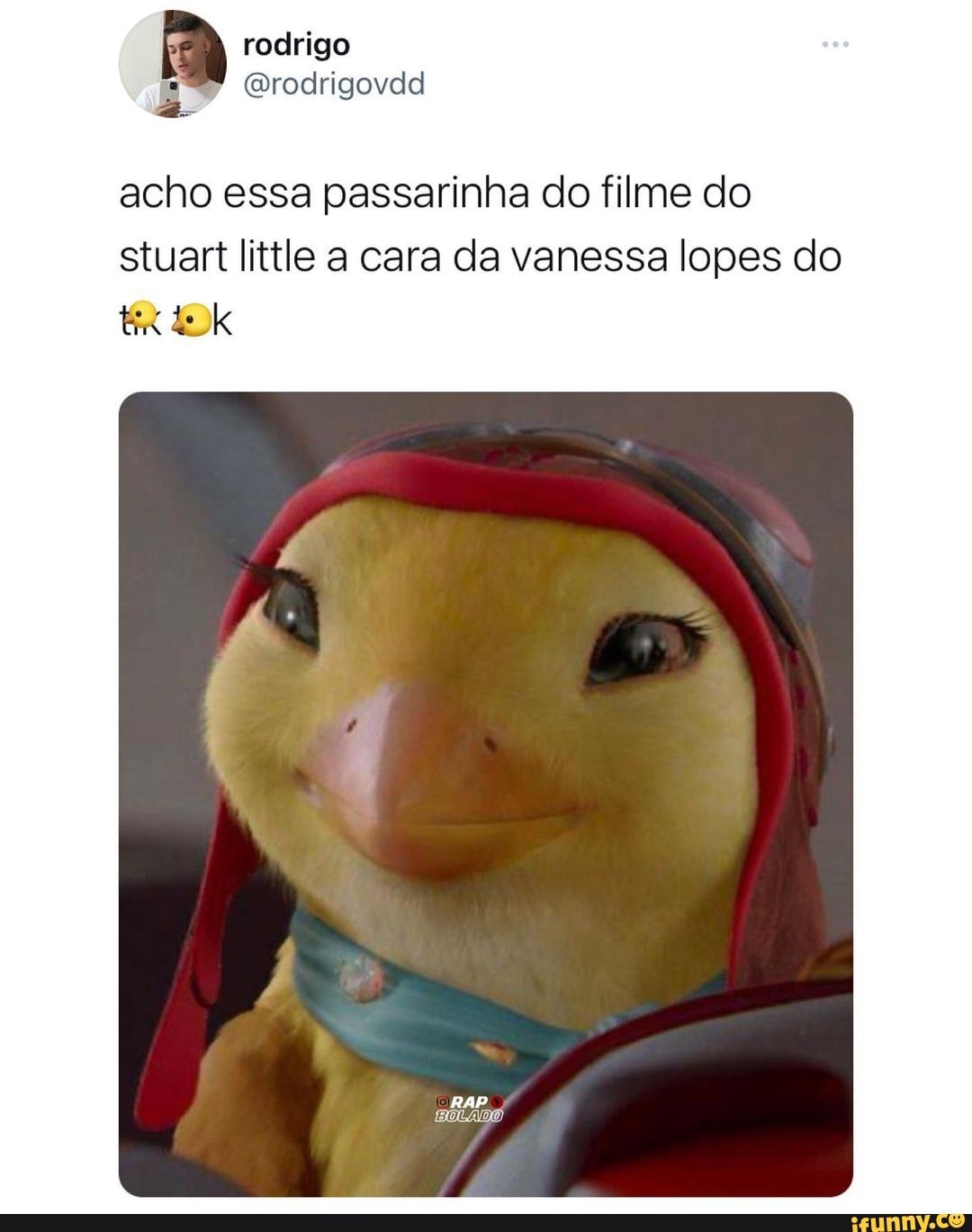 Rodrigo drigovdd acho essa passarinha do filme do stuart little a cara ...