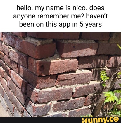 Nico memes. Best Collection of funny Nico pictures on iFunny