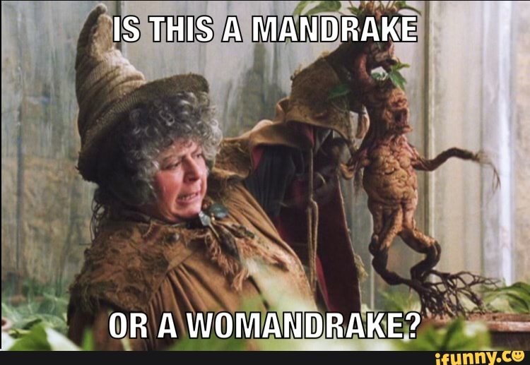 Mandrake memes. Best Collection of funny Mandrake pictures on iFunny
