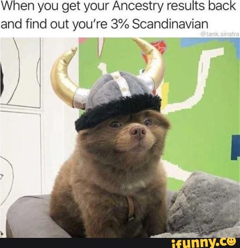 Ancestry memes. Best Collection of funny Ancestry pictures on iFunny