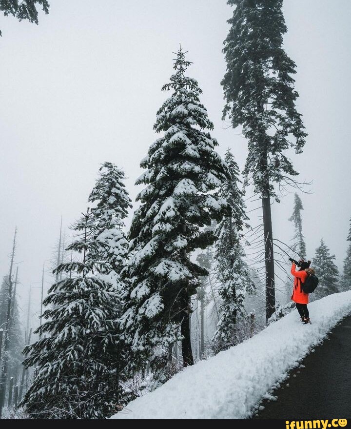 Picture memes Q9ej0SeLA by youarefire: 1 comment - iFunny