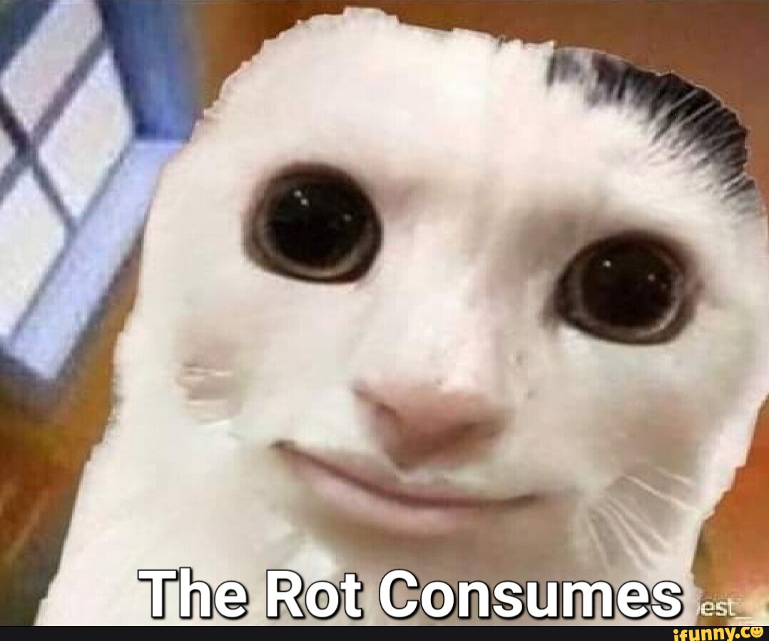 Frickle memes. Best Collection of funny Frickle pictures on iFunny