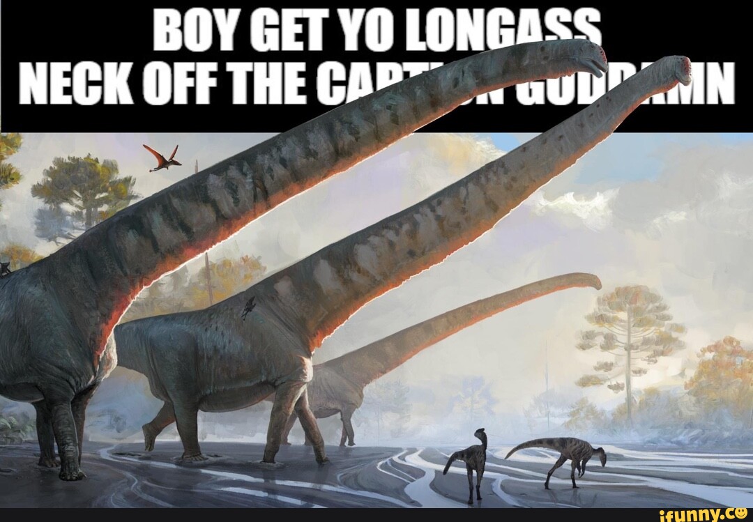 BOY GET YO LONGASS NECK OFF THE - iFunny