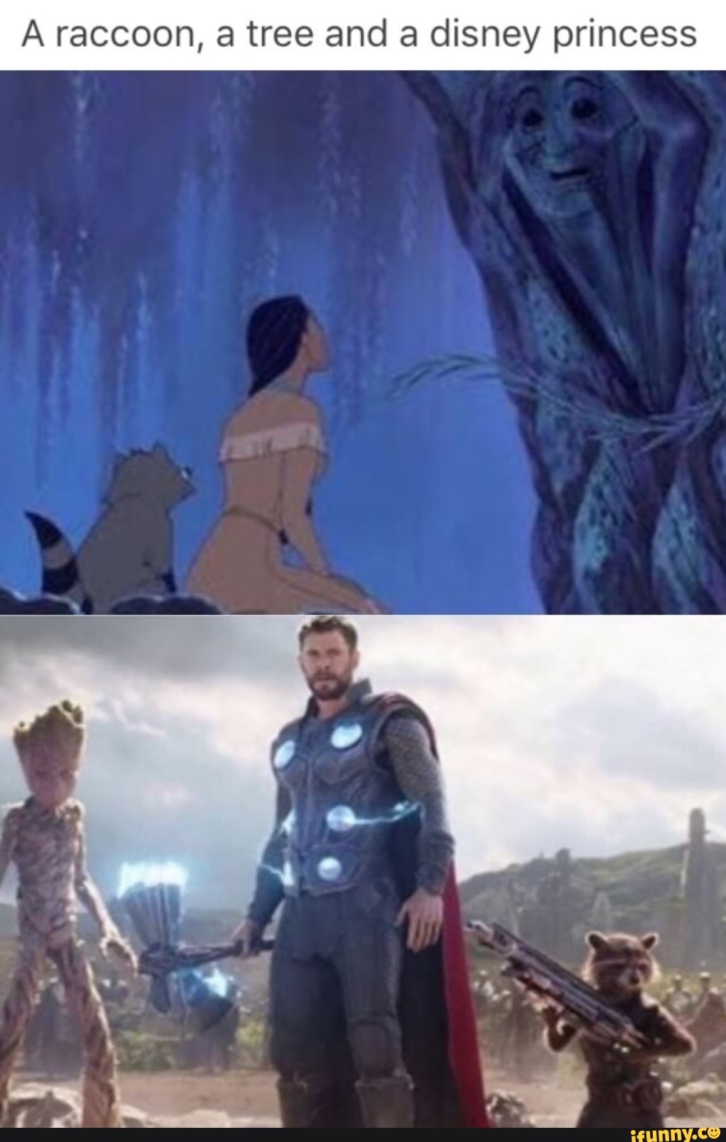 A raccoon, a tree and a disney princess - iFunny