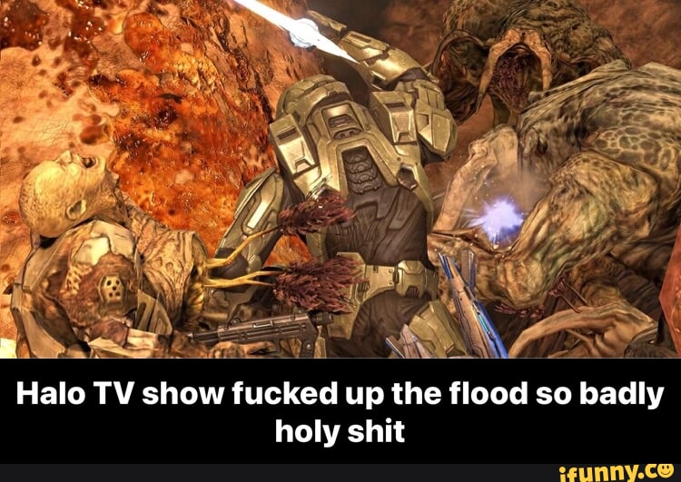 Flood memes. Best Collection of funny Flood pictures on iFunny