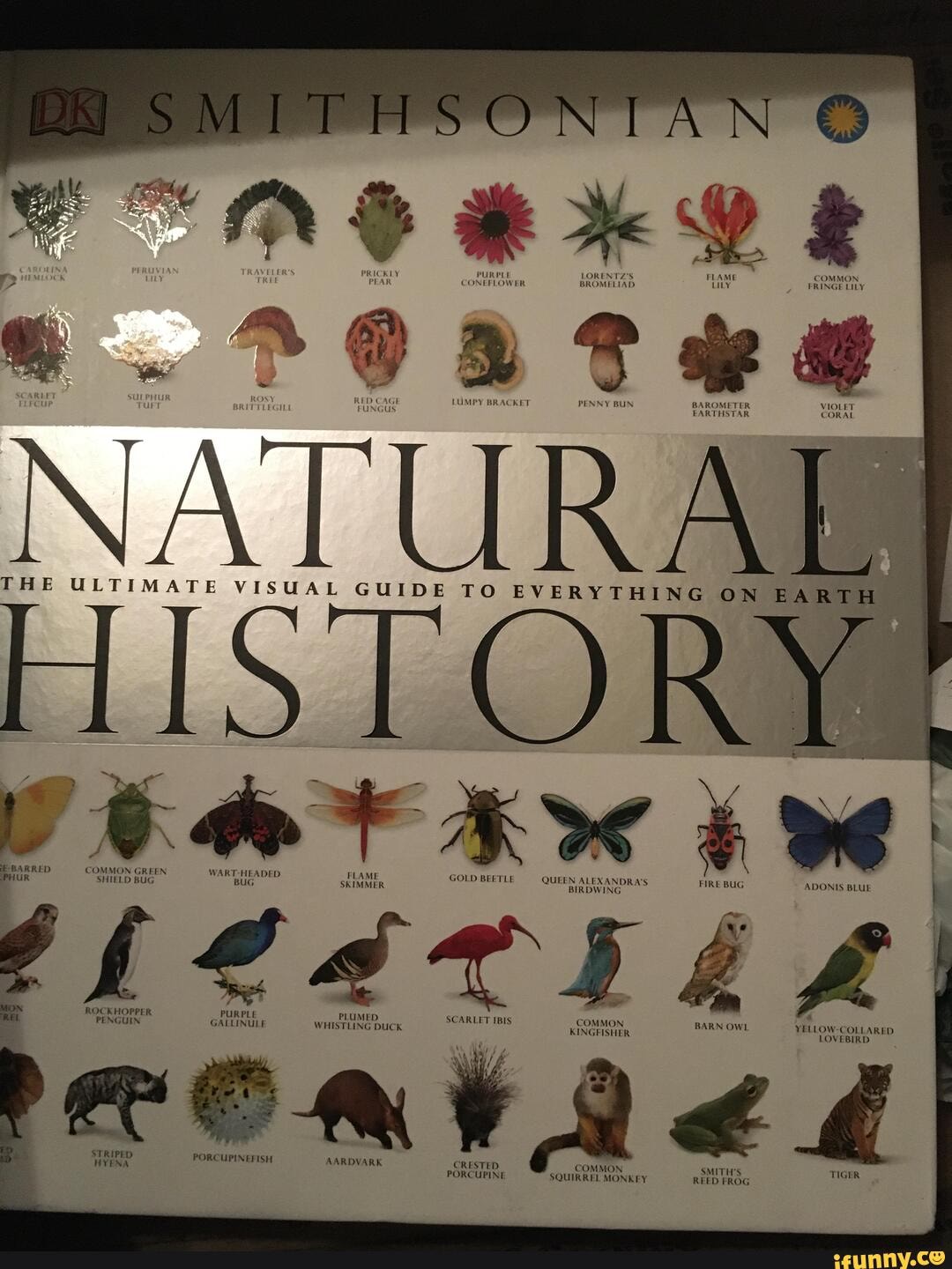 Bromeliad memes. Best Collection of funny Bromeliad pictures on iFunny