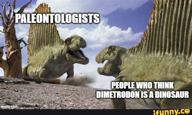 Dimetrodon memes. Best Collection of funny Dimetrodon pictures on iFunny