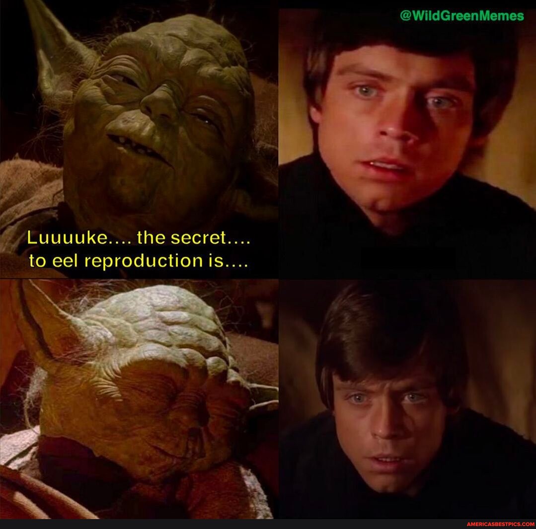 🤷🏻 Meme by @beingevolved - @WildGreenkiemes Luuuuke.... the secret ...