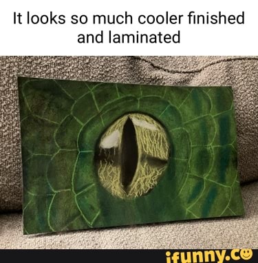 Laminated memes. Best Collection of funny Laminated pictures on iFunny