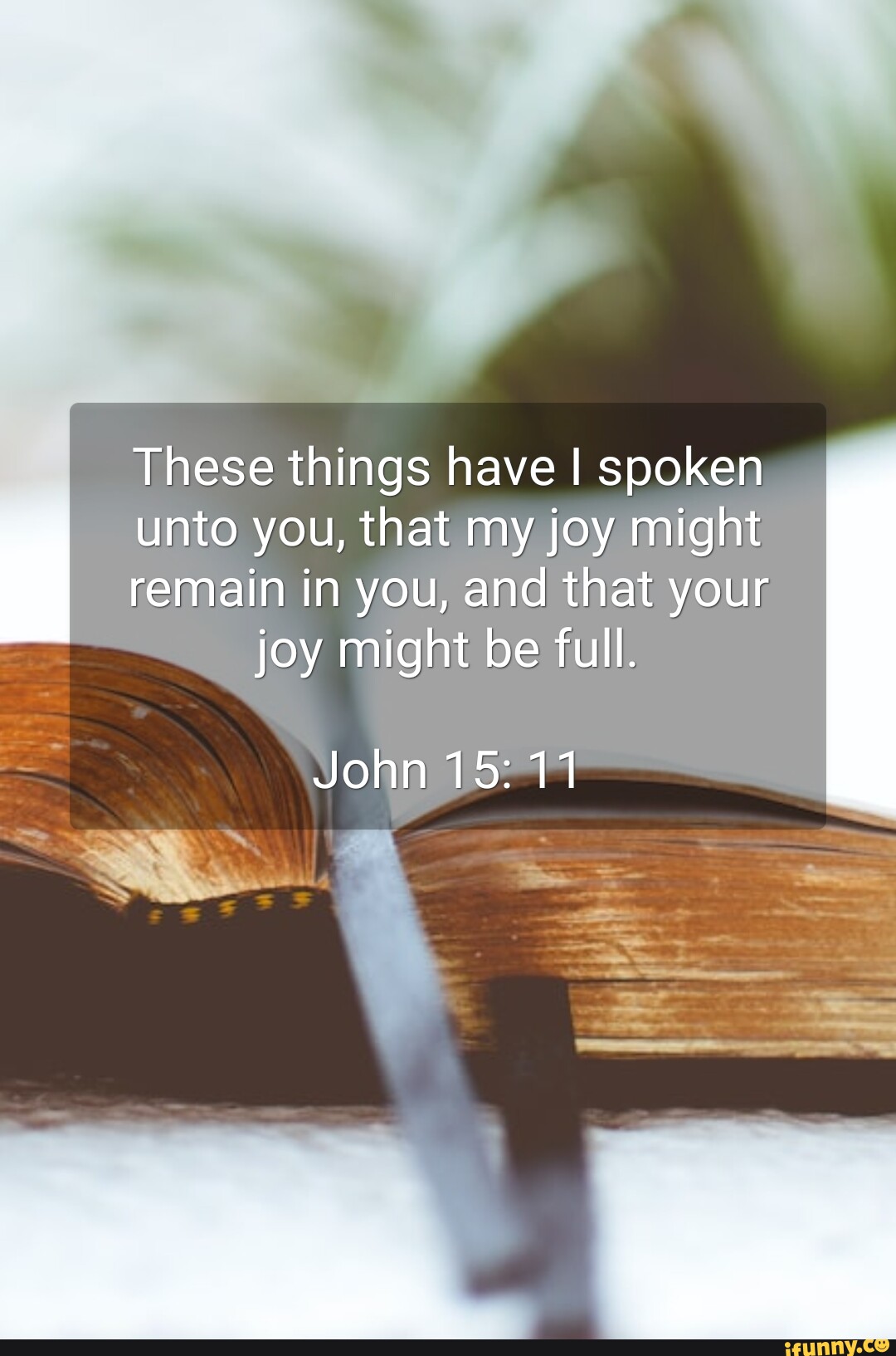 These things have I spoken unto you, that my joy might remain in you ...