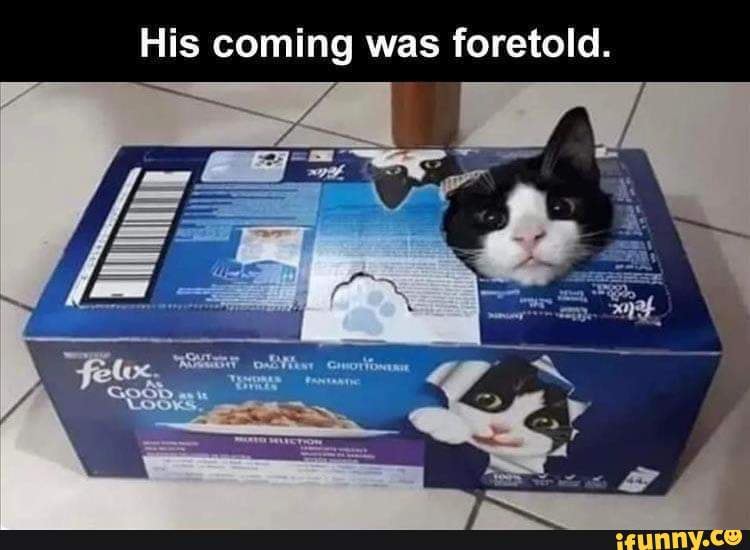 His coming was foretold. - iFunny