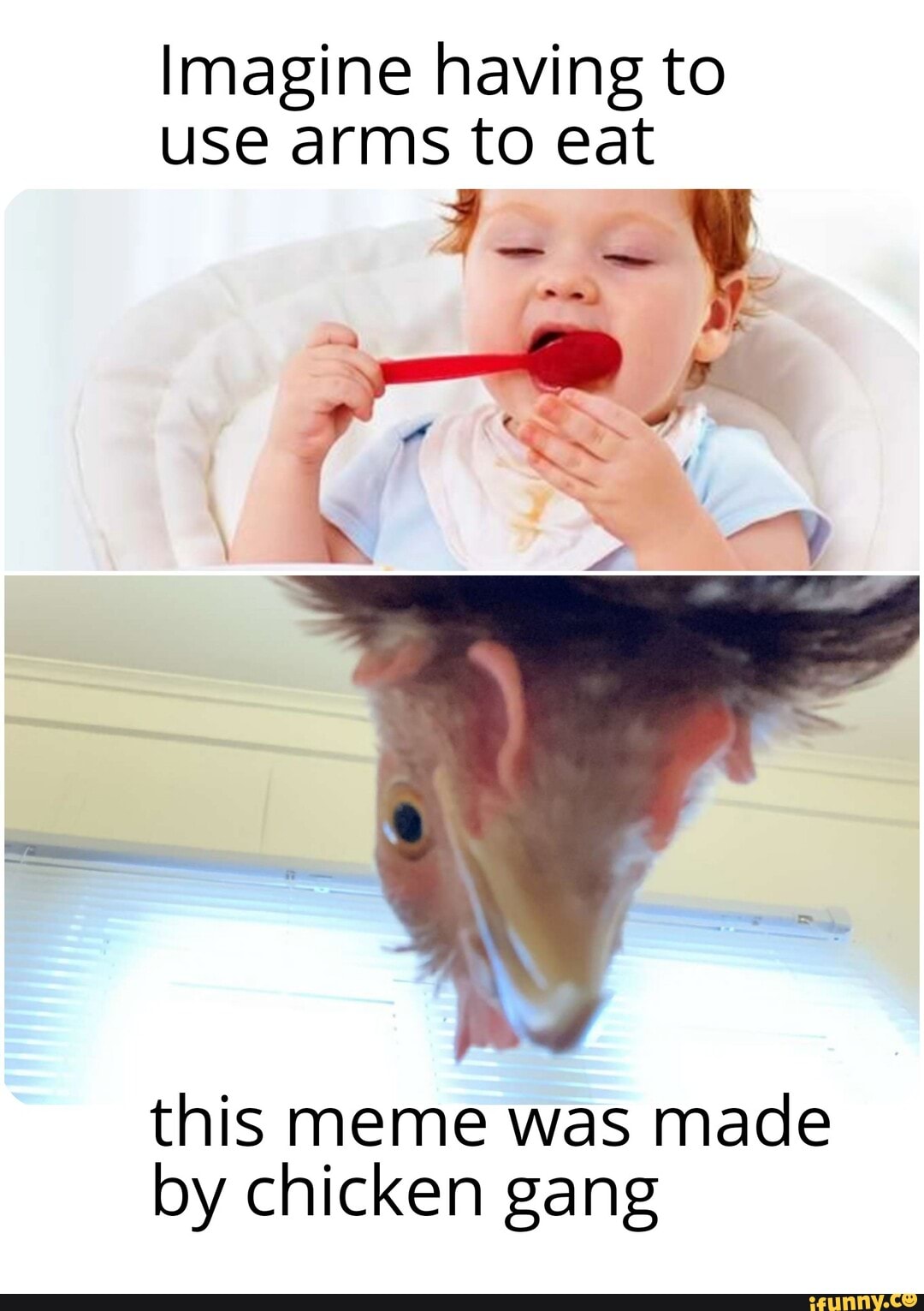 Cluckers memes. Best Collection of funny Cluckers pictures on iFunny