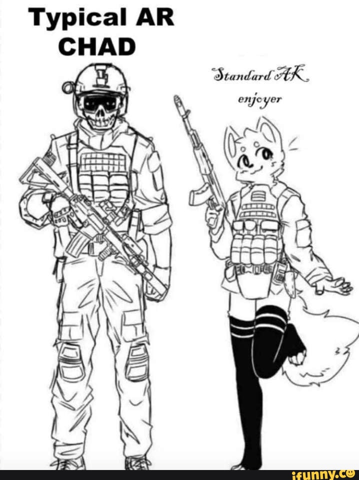 Typical AR CHAD Standard AK, enjoyer - iFunny