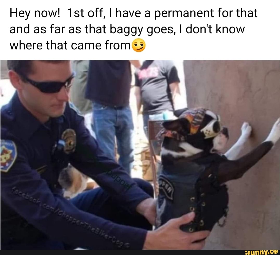 Gunpermit memes. Best Collection of funny Gunpermit pictures on iFunny
